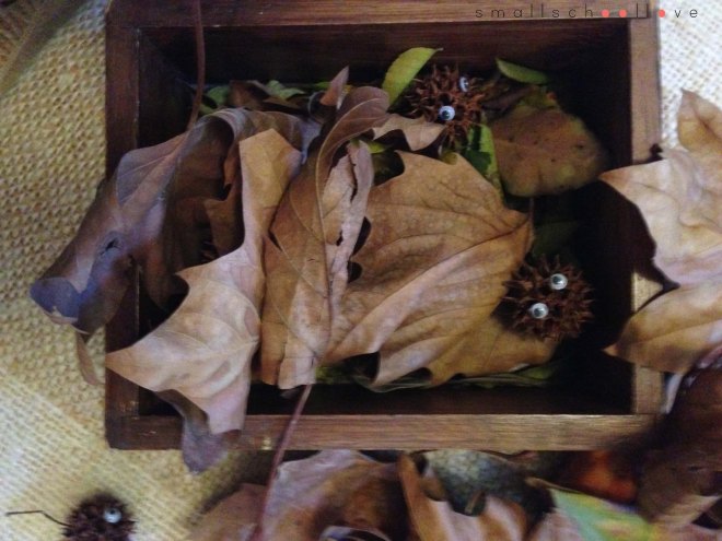 ANIMAL PLAY PROVOCATION