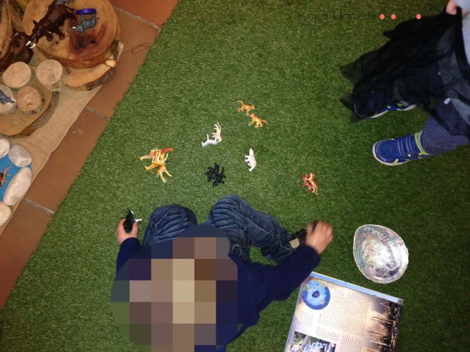 ANIMAL PLAY PROVOCATION