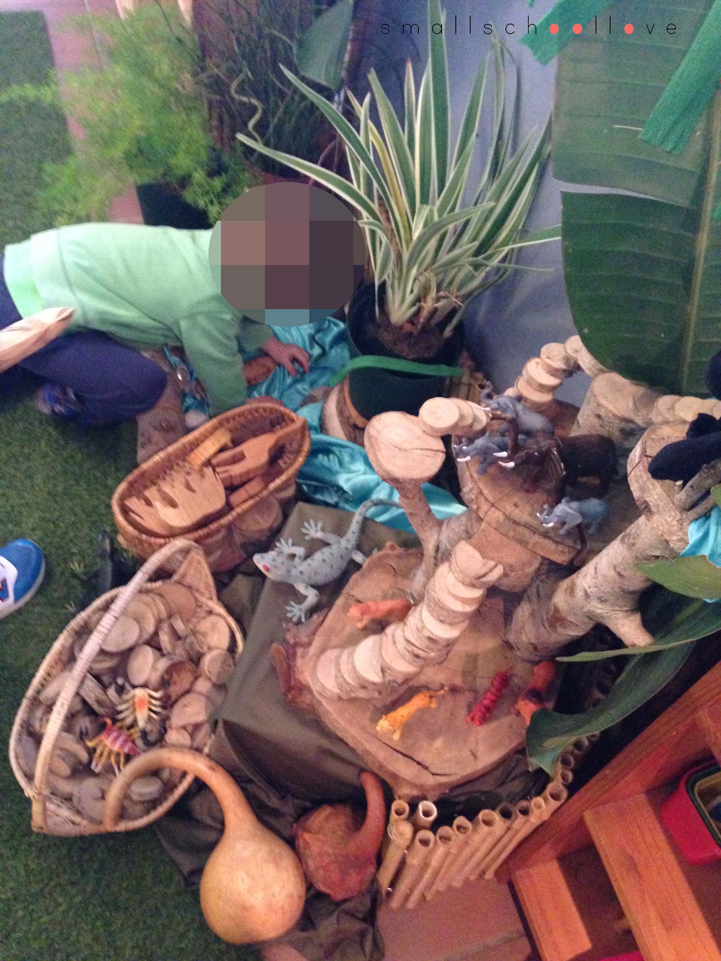 RAINFOREST SMALL WORLD